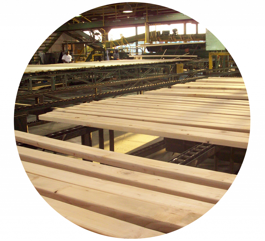 Idaho Timber | National Timber Company